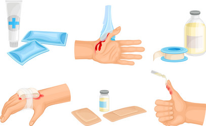 Blood Cut in Wrist Vector Images (over 130)