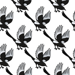 Cute cartoon magpie doodles seamless border Vector Image
