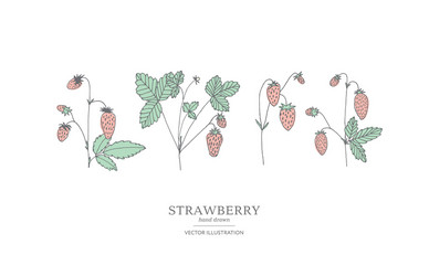 Hand drawn strawberry set Royalty Free Vector Image