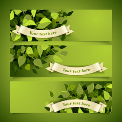Leaf headers set Royalty Free Vector Image - VectorStock