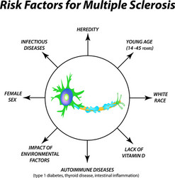Multiple Sclerosis Vector Images (over 460)
