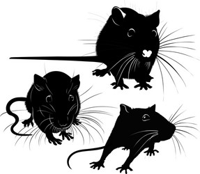 Cute rat cartoon hug character white Royalty Free Vector