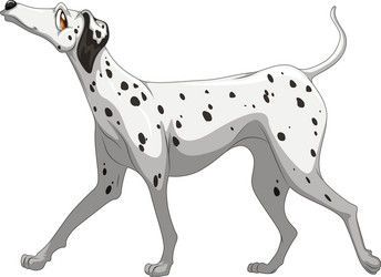 Cute dalmatian dog Royalty Free Vector Image - VectorStock