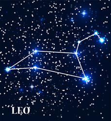 Space spiral with astrological leo symbol Vector Image