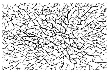 Simple hand draw sketch white crack background Vector Image