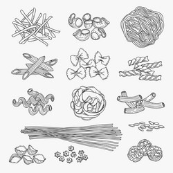 Penne Pasta Drawing Vector Images (over 830)