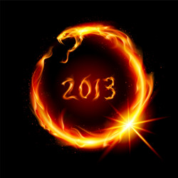 Chinese Zodiac Fire Snake