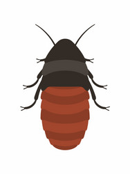 Cockroach Vector Images (over 8,500)