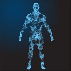 Abstract wire frame human body polygonal 3d model Vector Image