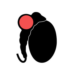 Male Reproductive System Poster Vector Images (over 230)