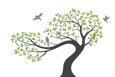Tree wall decoration concept bird on branch wall Vector Image