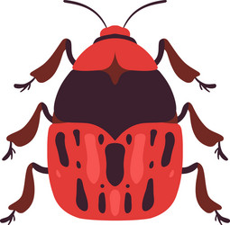 Scarab beetle insect bug top view Royalty Free Vector Image