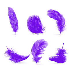 Cartoon colorful feather icons set Royalty Free Vector Image