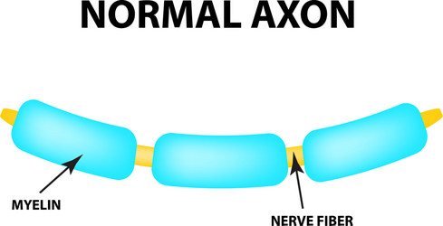 Axon Vector Images (over 1,300)