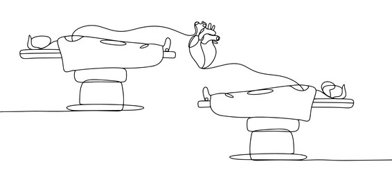 Heart transplantation transfer organ one line Vector Image