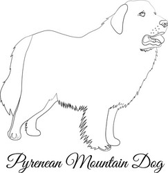 Great Pyrenees Dog Vector Images (over 150)
