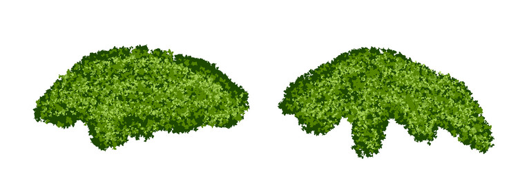 Green Moss Vector Images (over 1,500)
