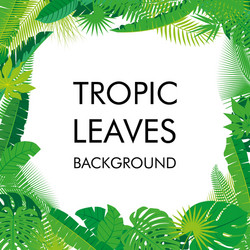 Square card with tropical leaves Royalty Free Vector Image