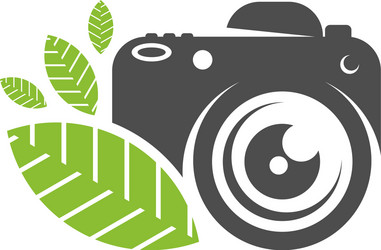 Nature camera logo design template camera Vector Image