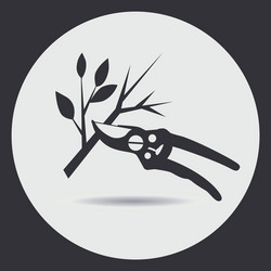 Pruning Vector Images (over 8,300)