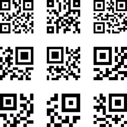 Qr code with wallet card and coin symbols Vector Image