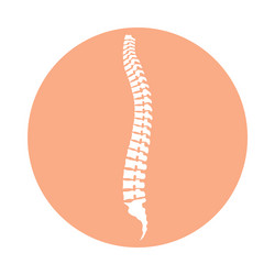 Spinal Column Vector Images (over 800)