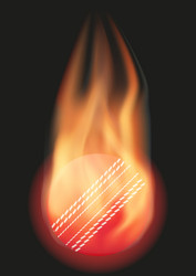 Fire Cricket Ball Vector Images (over 130)