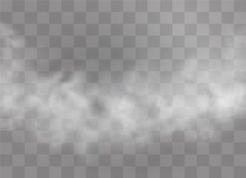 Clouds white fog smog on transparent background Vector Image