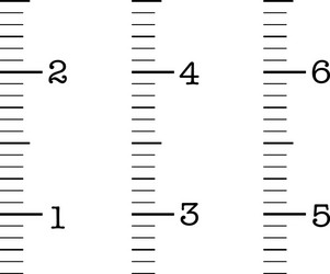 Kids growing scale Royalty Free Vector Image - VectorStock