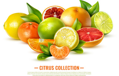 Citrus Vector Images (over 88,000)