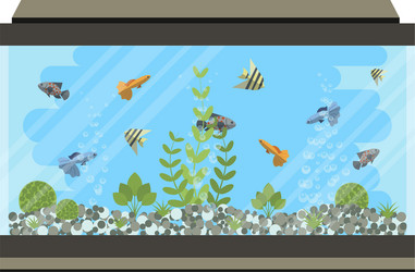 Cartoon home aquarium Royalty Free Vector Image
