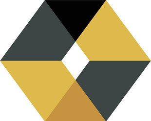 Gold diamond logo template design eps 10 Vector Image