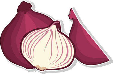 Onion 3d bulb isolated Royalty Free Vector Image