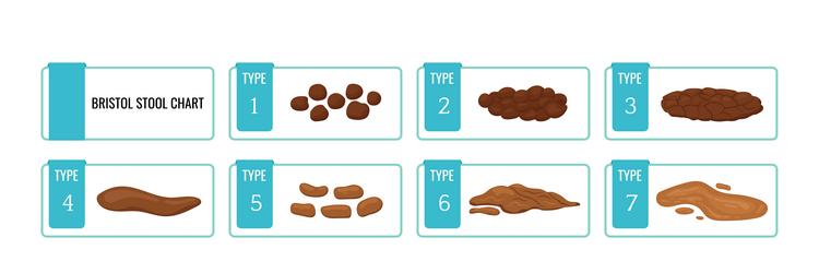 Bristol Scale Vector Images (24)