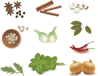 Engraved style organic spices and beans Royalty Free Vector