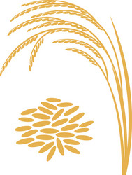 Rice design on white background Royalty Free Vector Image