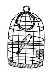 Bird Cage Line Drawing Vector Images (over 620)