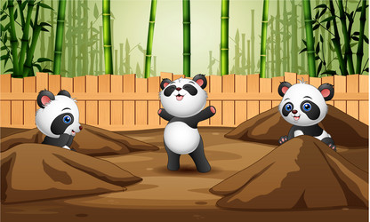 Cartoon baby panda in the jungle bamboo Royalty Free Vector