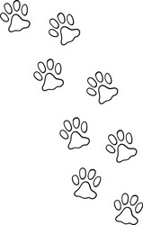 Paw print one line art pet footprint lineart Vector Image