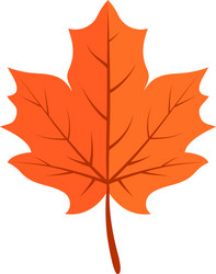 Cartoon red maple leaf Royalty Free Vector Image