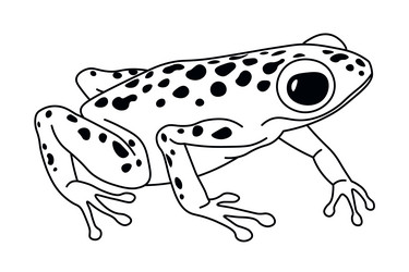 Frog line art drawing Royalty Free Vector Image