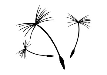 Dandelion Seed Clip Art