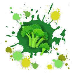Broccoli watercolor Royalty Free Vector Image - VectorStock