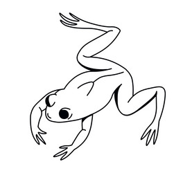 Frog line art drawing Royalty Free Vector Image