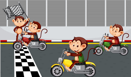 Race track scene with monkey racing drivers Vector Image
