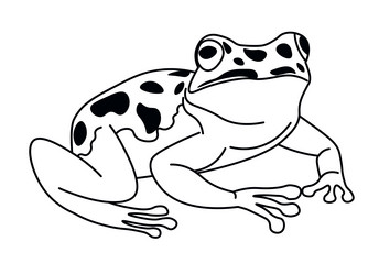 Frog line art drawing Royalty Free Vector Image