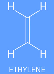 Ethylene or ethene molecule skeletal formula Vector Image