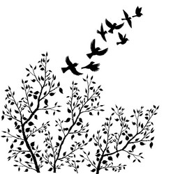Tree silhouette with birds flying Royalty Free Vector Image