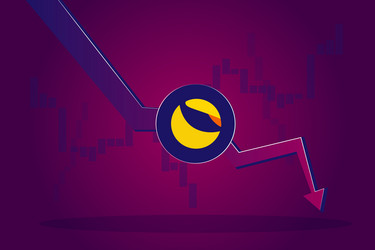 Terra luna coin cryptocurrency token symbol Vector Image