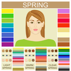 Seasonal color analysis palette for clear spring Vector Image